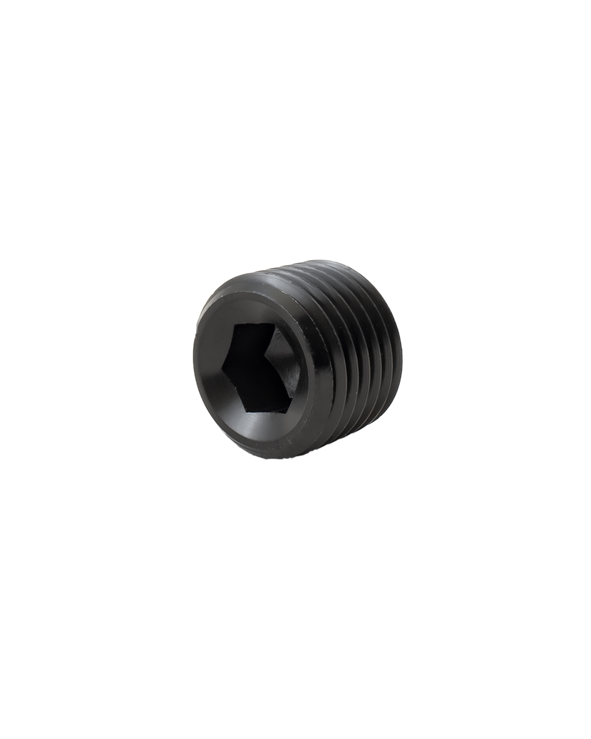 Allen Head Plug NPT Thread - Black - Total Fuel System